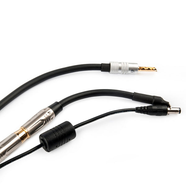 iFi Audio Groundhog+ Ground Loop Isolator for Audio Systems